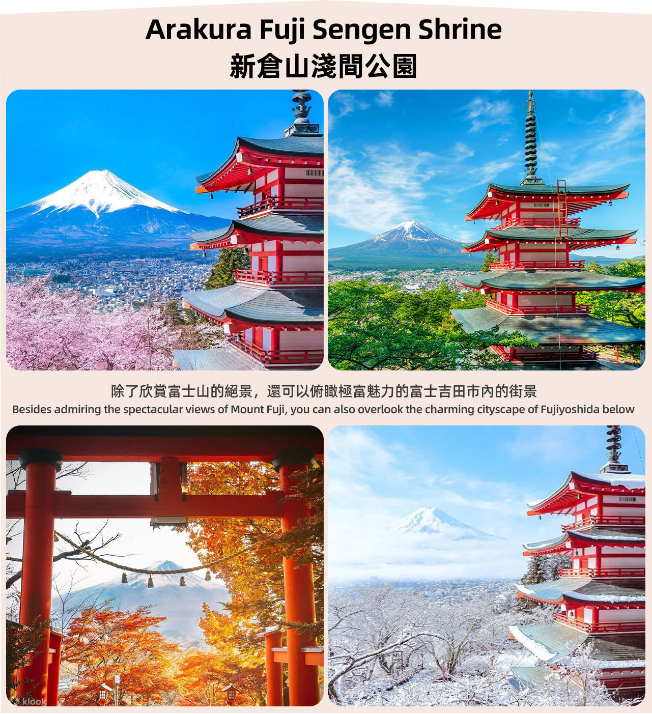 [One-day tour of Mount Fuji Internet celebrity & classic check-in ...